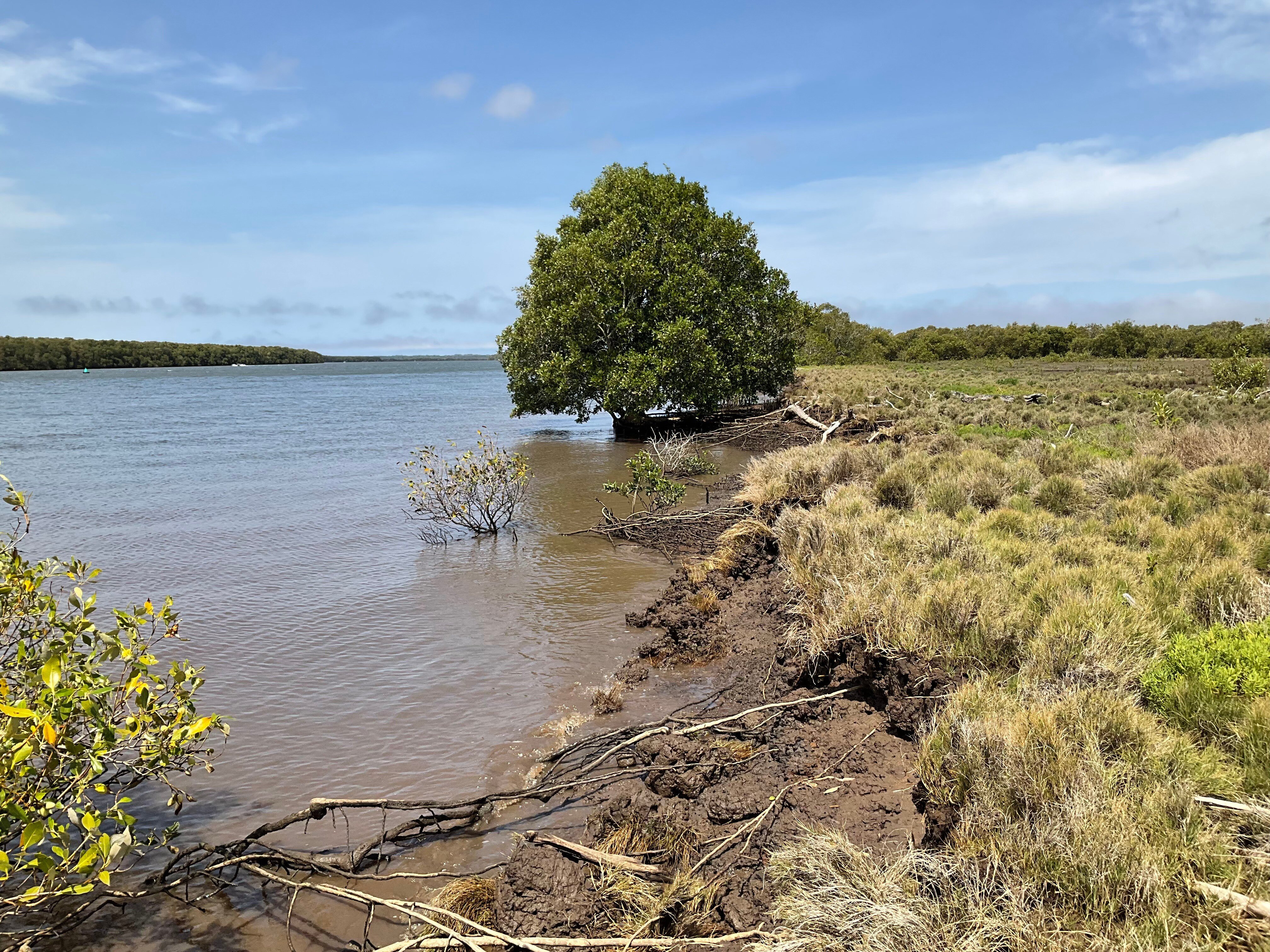Hunter Estuary Habitat and Erosion Mapping | WolfPeak