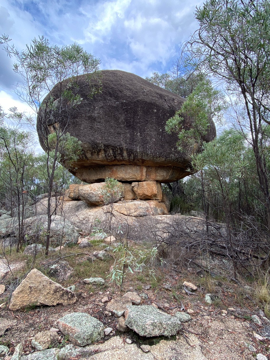 Biobanking Legacy Monitoring Project | WolfPeak