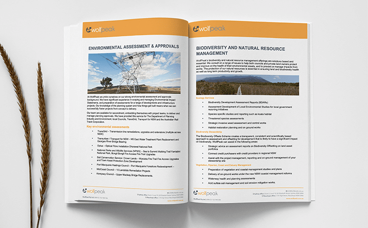 Capability Statement | Environmental Consulting & Advisory