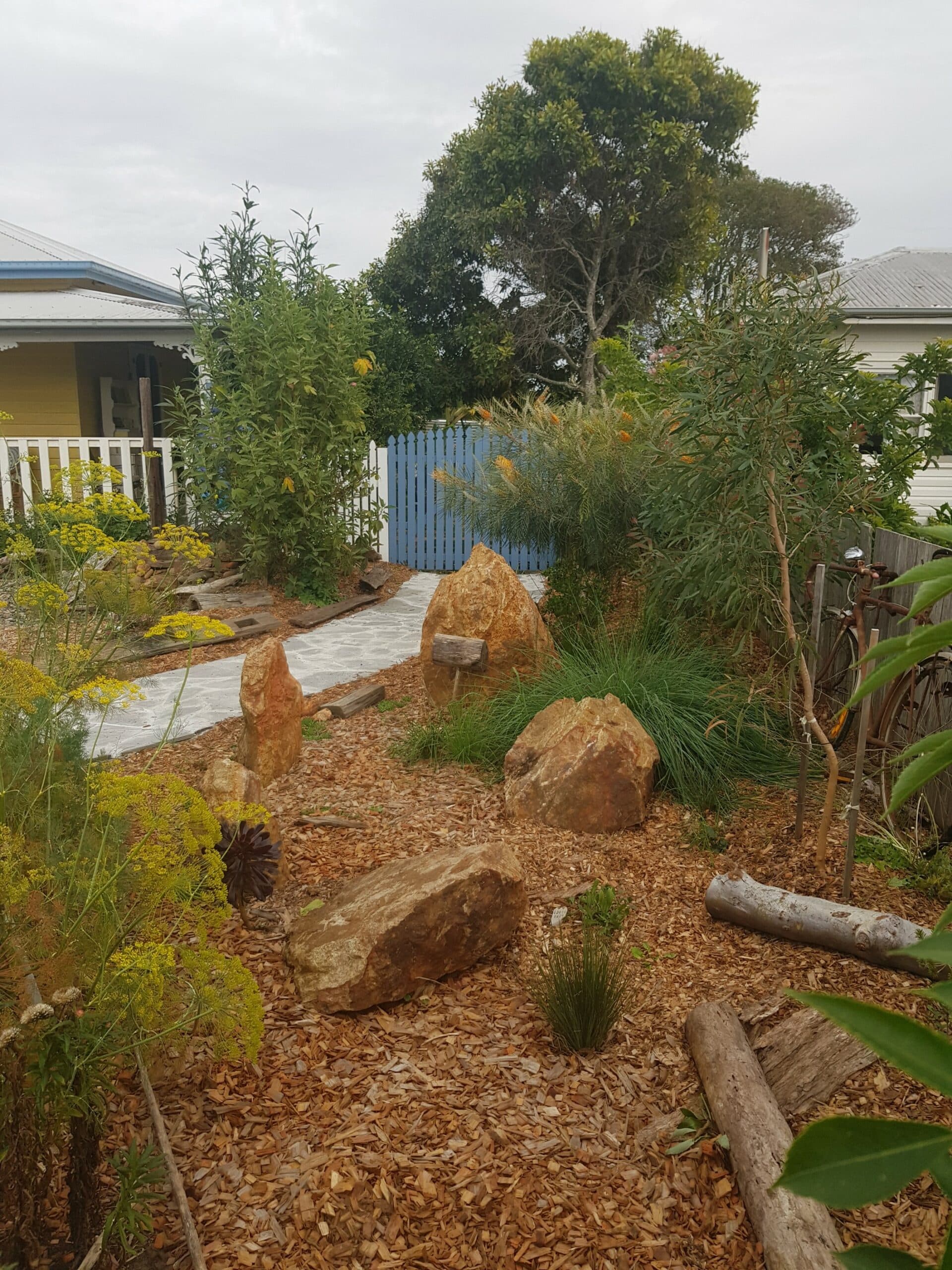 Biodiversity in Your Backyard | WolfPeak Australia